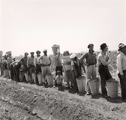 Migrant Pea Pickers near Westley, CA | Catherine Couturier Gallery ...